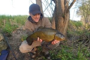 Welche Fische kann man in Schweden fangen? - Sweden Fishing Guide