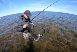 Welche Fische kann man in Schweden fangen? - Sweden Fishing Guide
